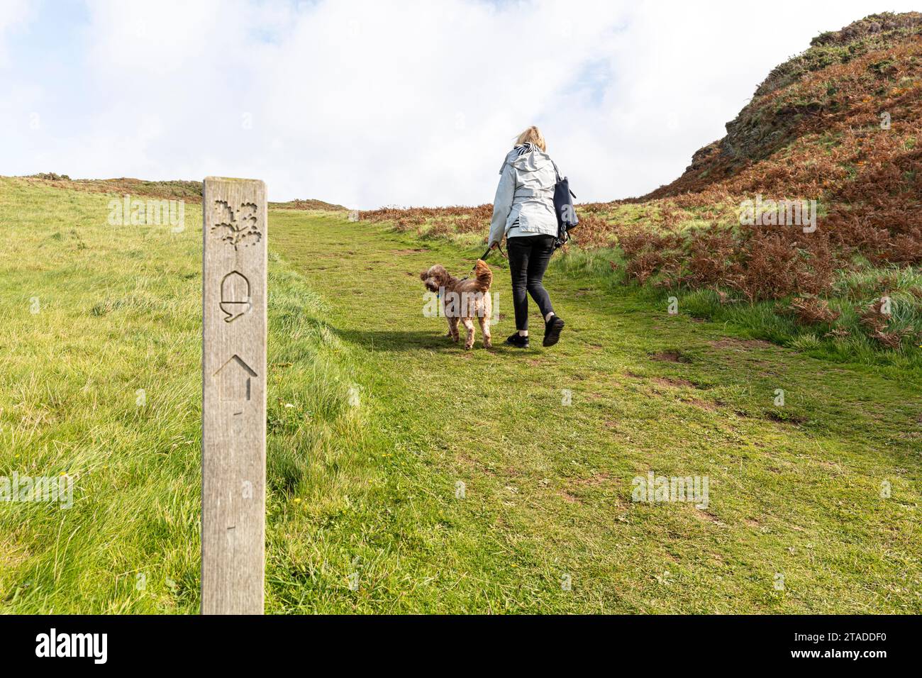 North Devon Coastal Path, Devon, England, UK, walking, hiking, hike ...