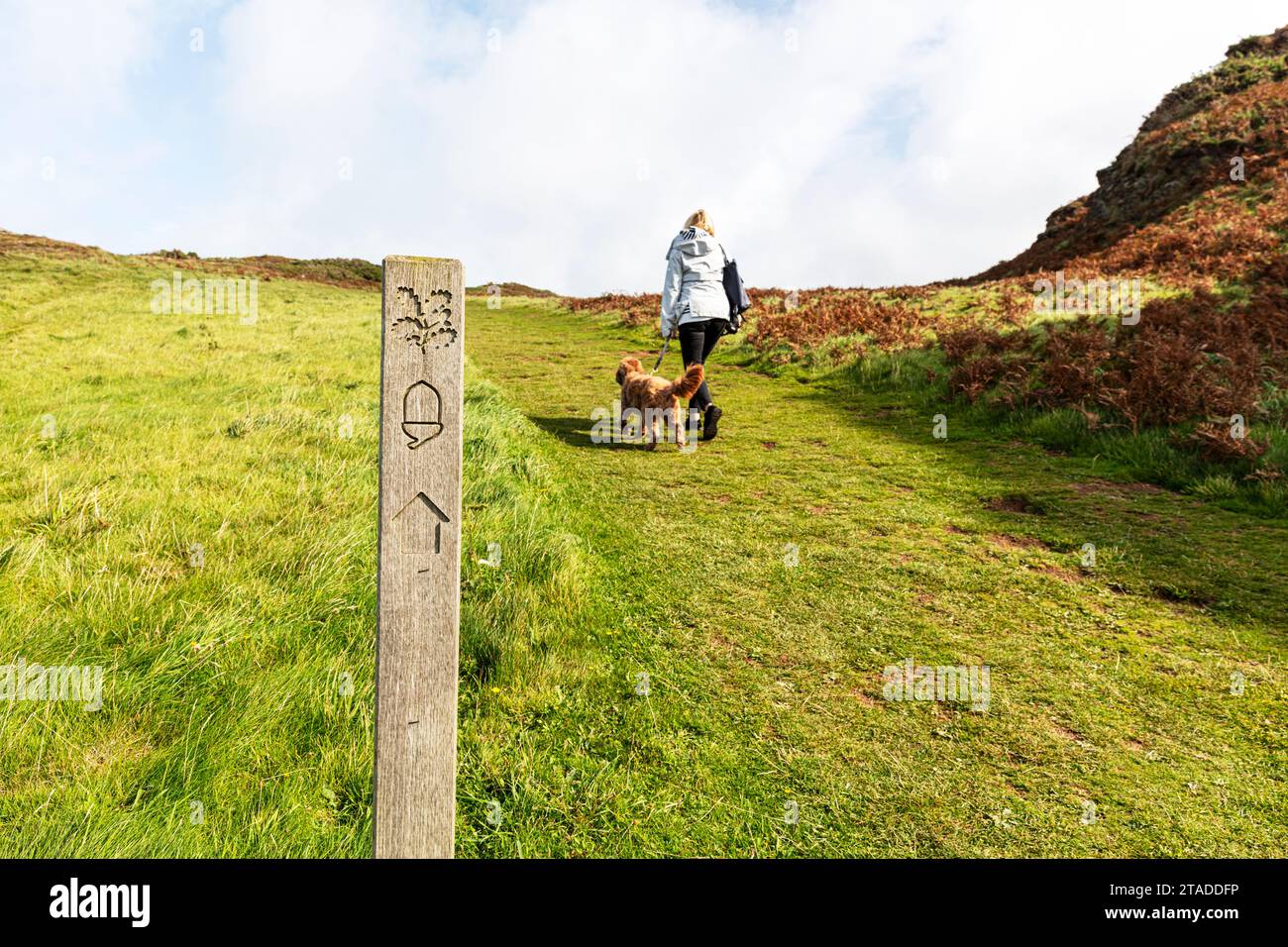North Devon Coastal Path, Devon, England, UK, walking, hiking, hike ...