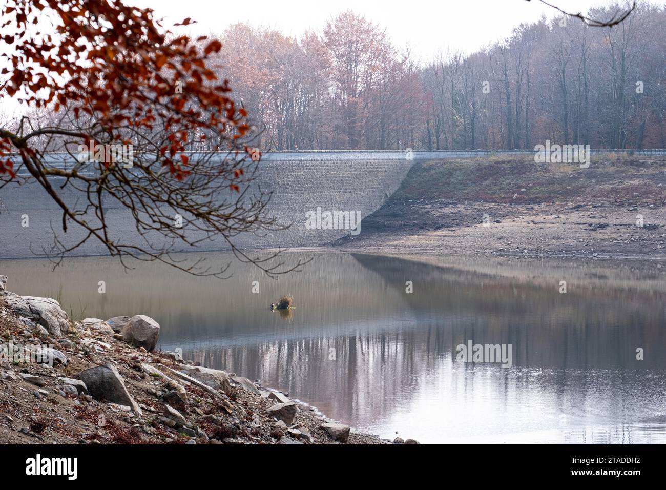 Desolate landscape of drought in the Santa Fe reservoir in the Montseny ...