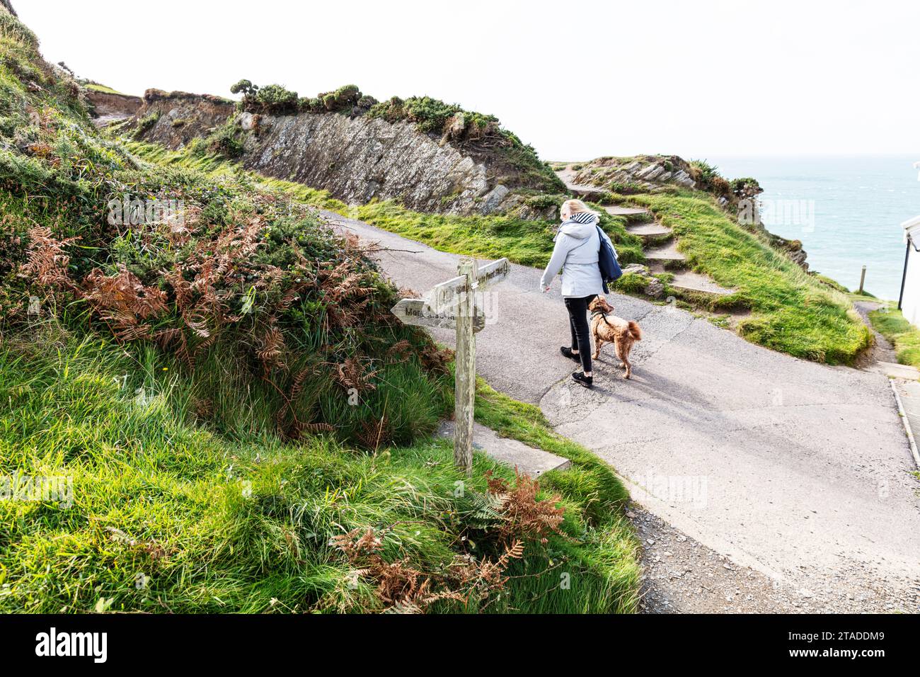 North Devon Coastal Path, Devon, England, UK, walking, hiking, hike ...