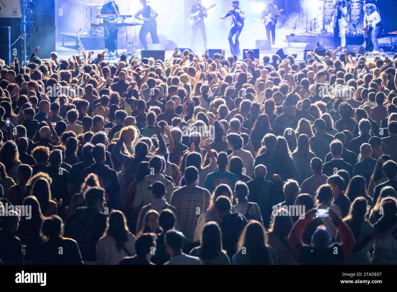 Happy people enjoying performance of popular band Stock Photo - Alamy