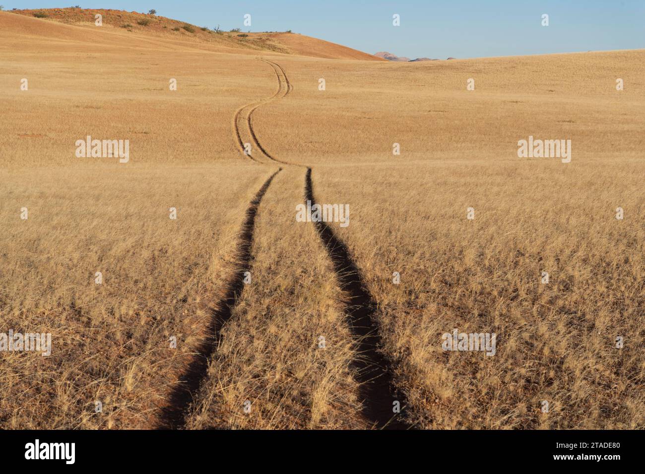 Lane, path, dune landscape, Namib-Naukluft Park, Namibia Stock Photo ...