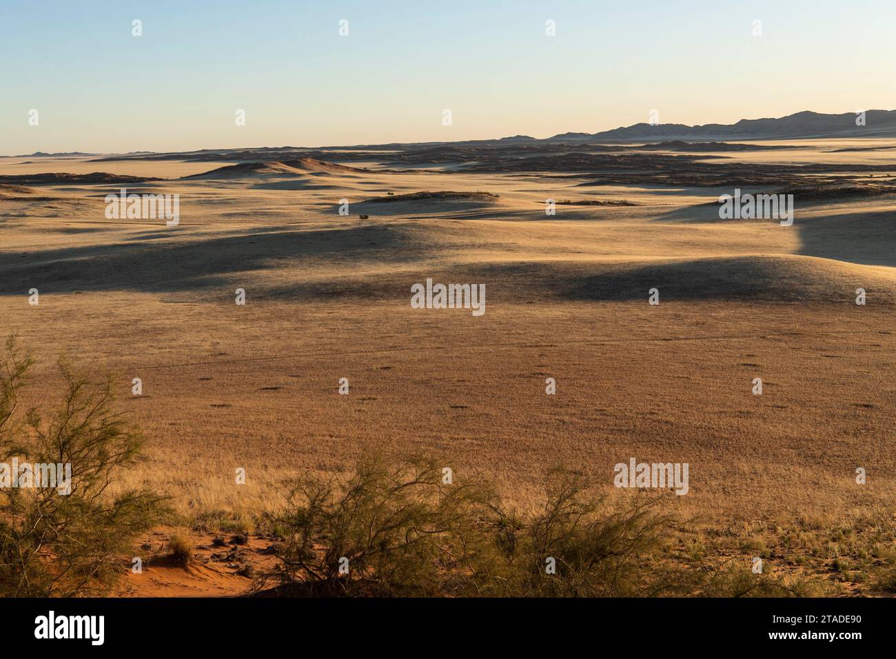 Landscape africa hi-res stock photography and images - Alamy