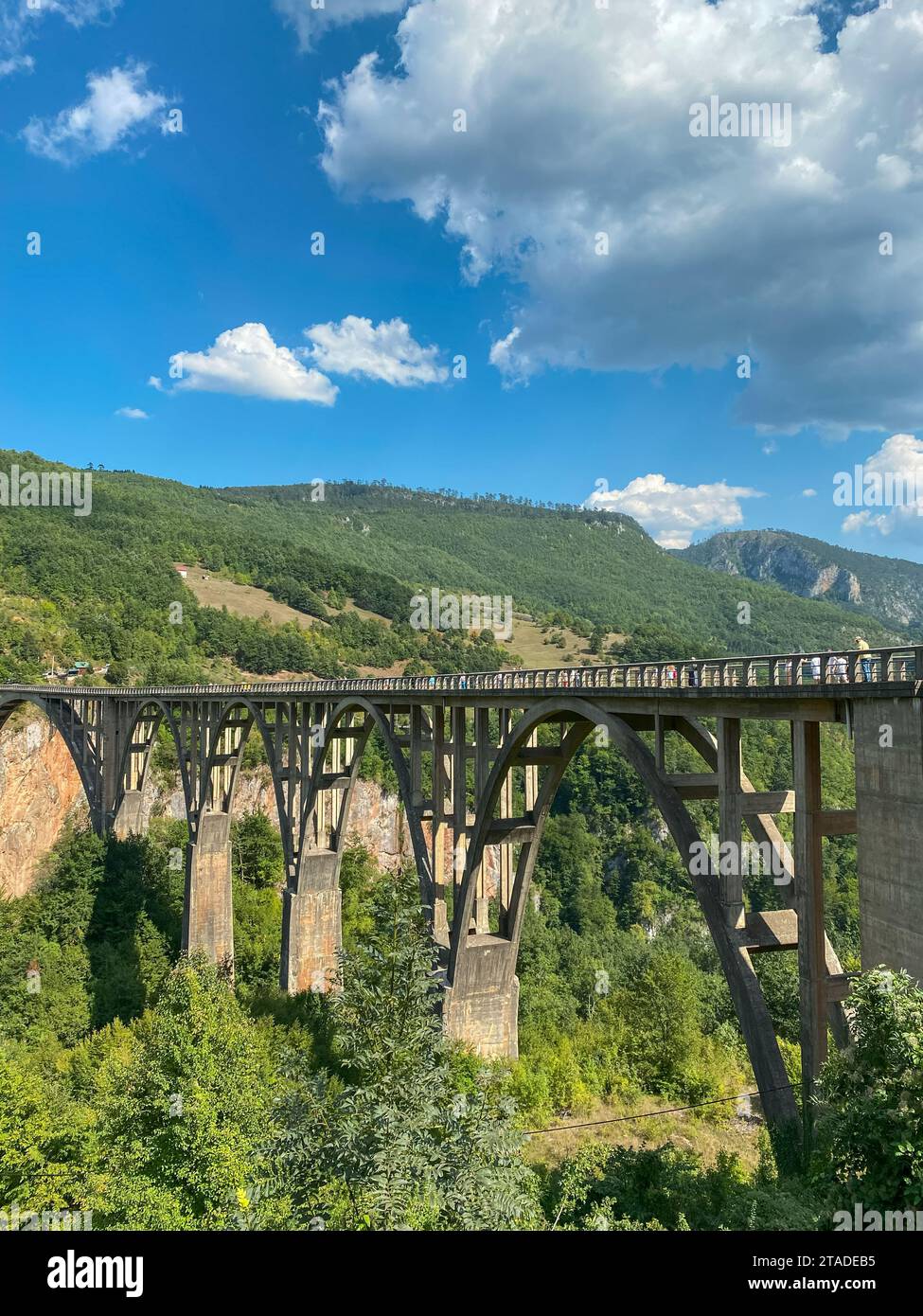 Djurdjevica Tara Bridge is a concrete arch bridge over the Tara River ...