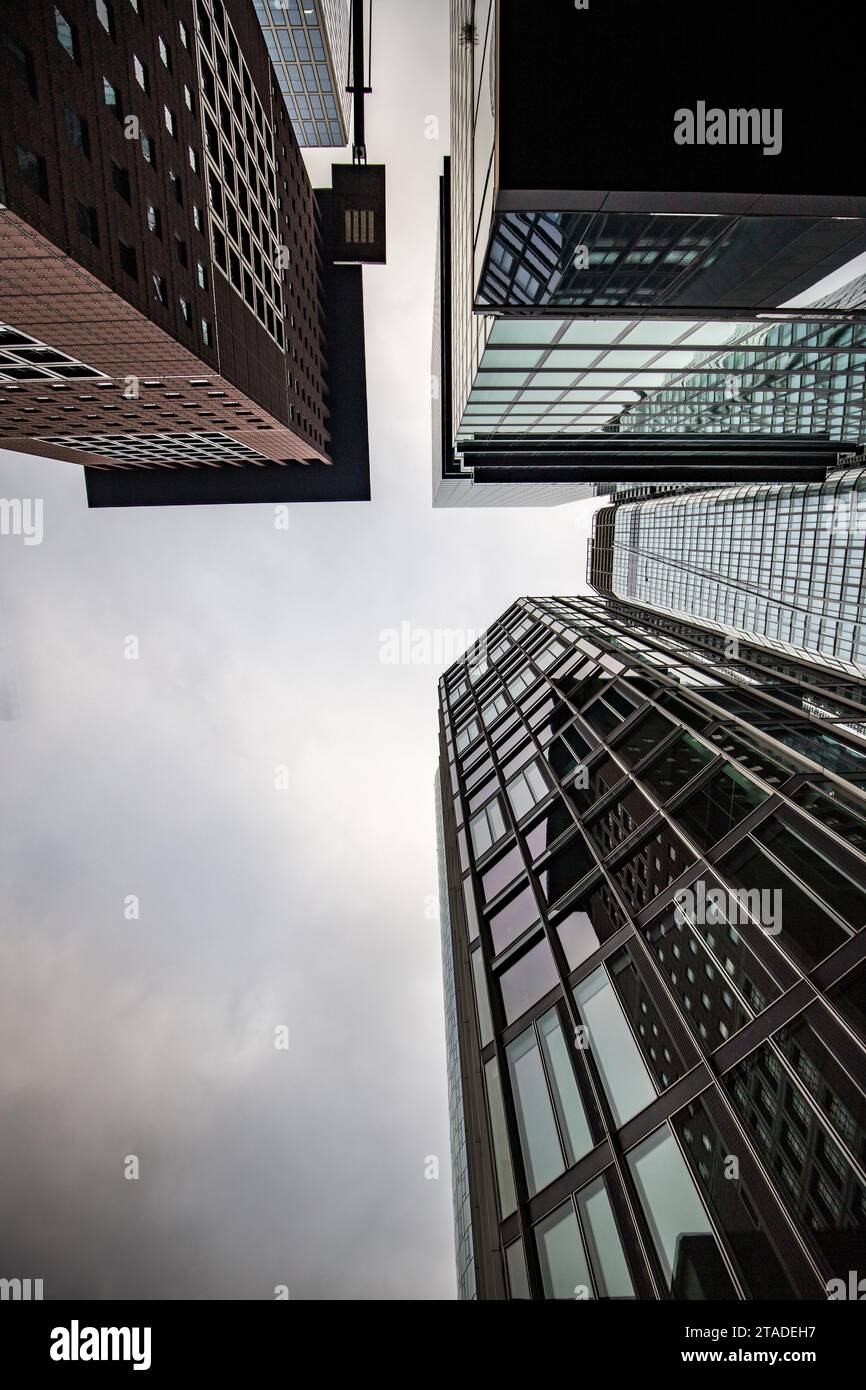 Cityscape on the Main with the skyline in the evening, at sunset ...