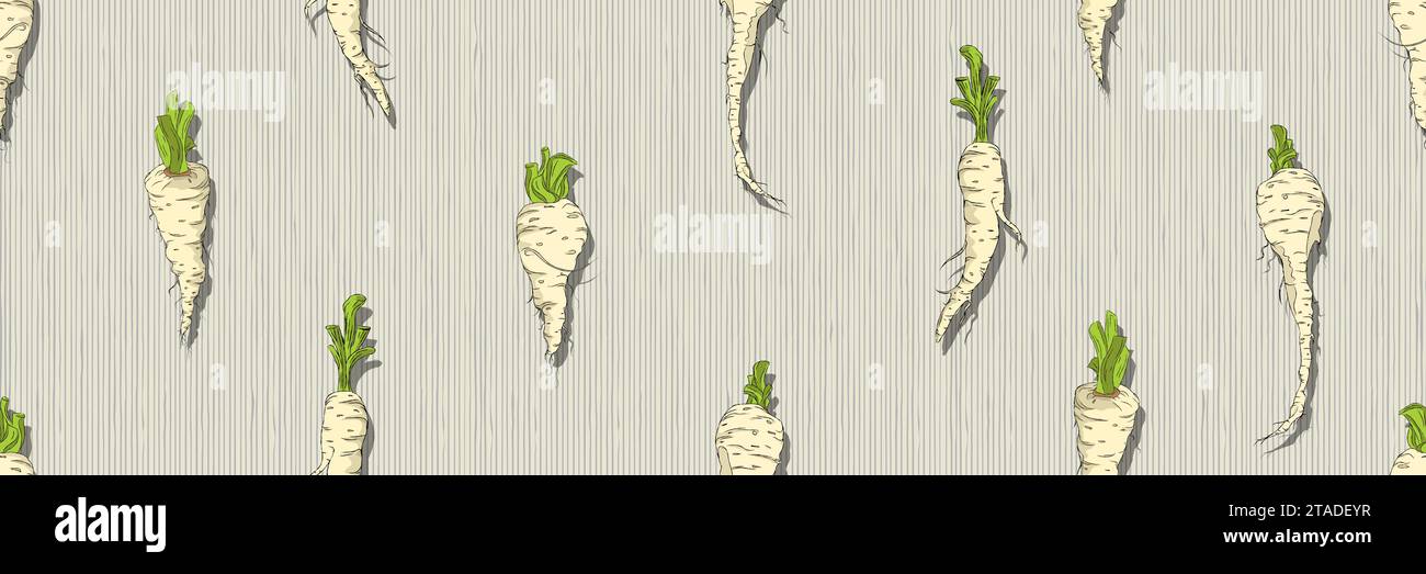 Hand drawn Parsnip seamless pattern, vector illustration Stock Photo ...