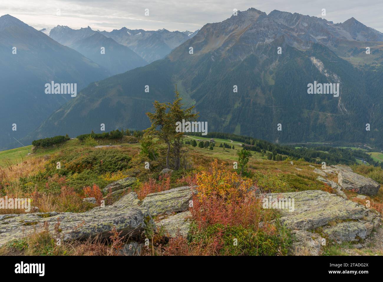 Mount Penken, Penkenjoch (2.095m) , Finkenberg community, Zillertal ...