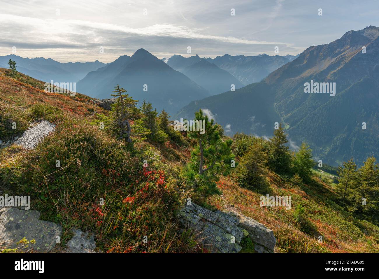 Mount Penken, Penkenjoch (2.095m) , Finkenberg community, Zillertal ...