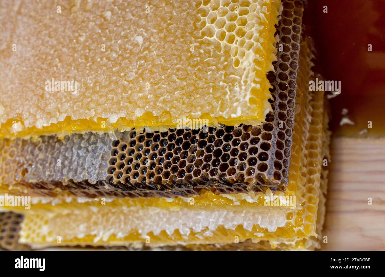 Sweet fresh honey in the sealed comb frame Stock Photo - Alamy