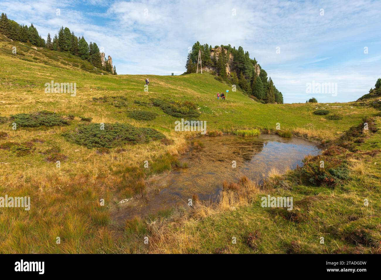 Mount Penken, Penkenjoch (2.095m) , Finkenberg community, Zillertal ...