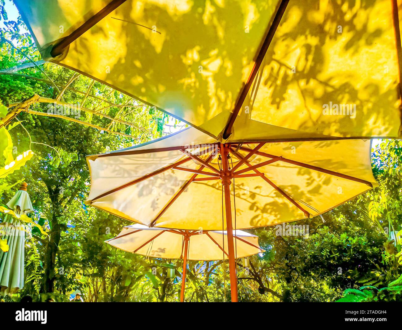 Outsunny sun parasol hi-res stock photography and images - Alamy