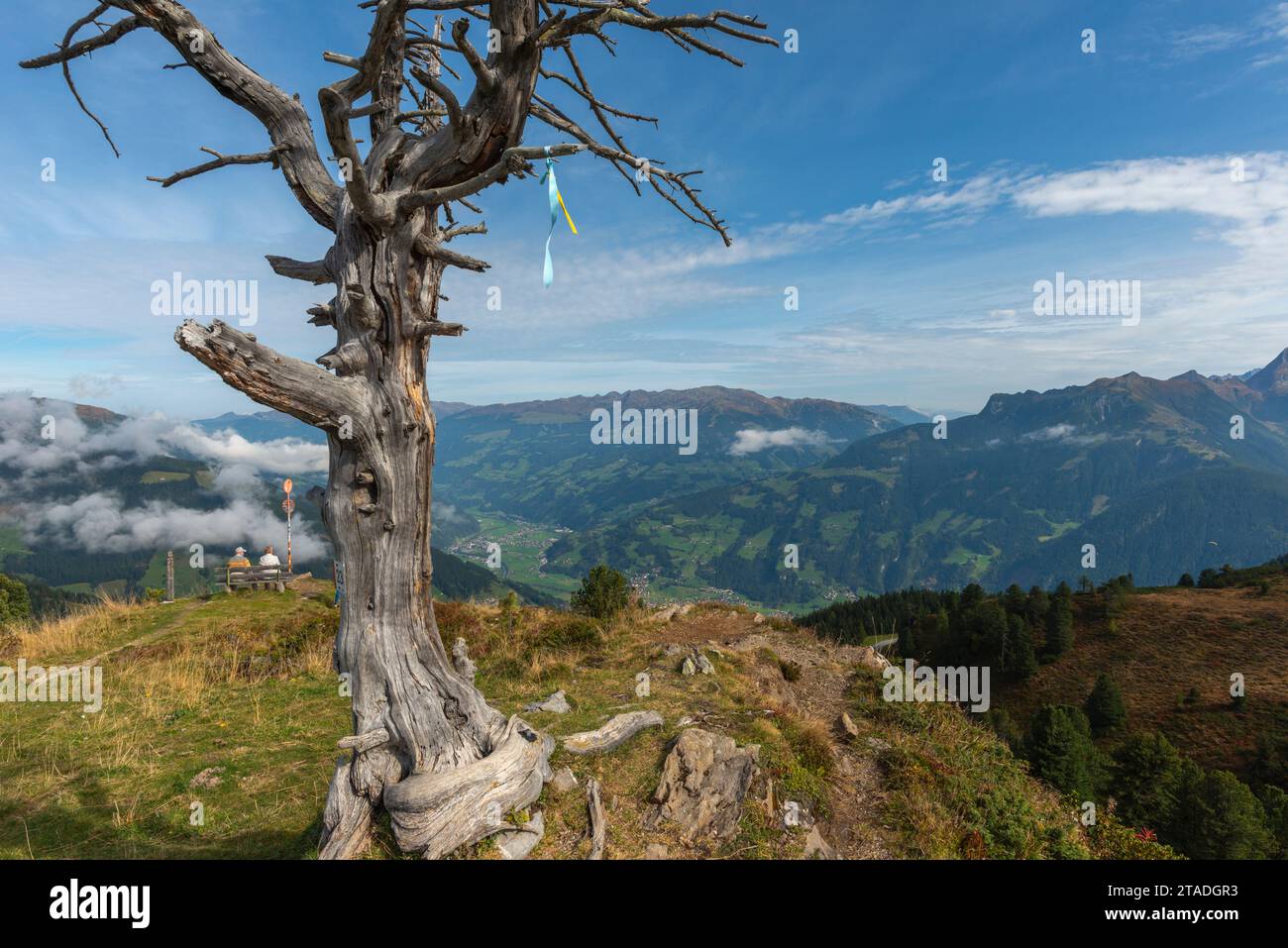 Mount Penken, Penkenjoch (2.095m) , Finkenberg community, Zillertal ...