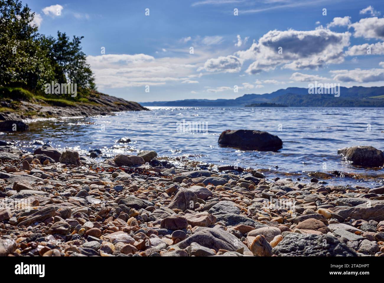 Late September afternoon, a close up view of the rock strewn beach ...