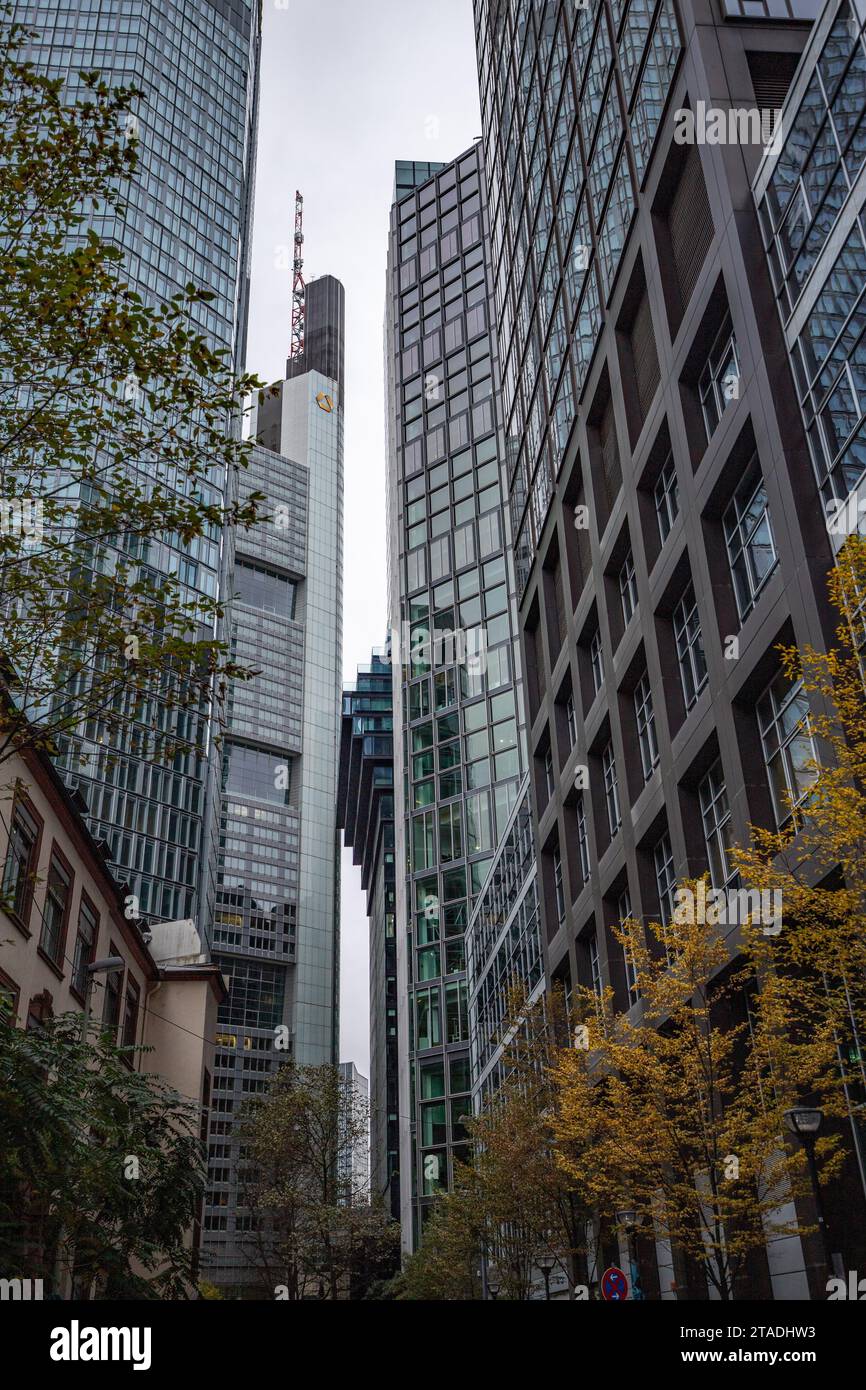 Cityscape on the Main with the skyline in the evening, at sunset ...