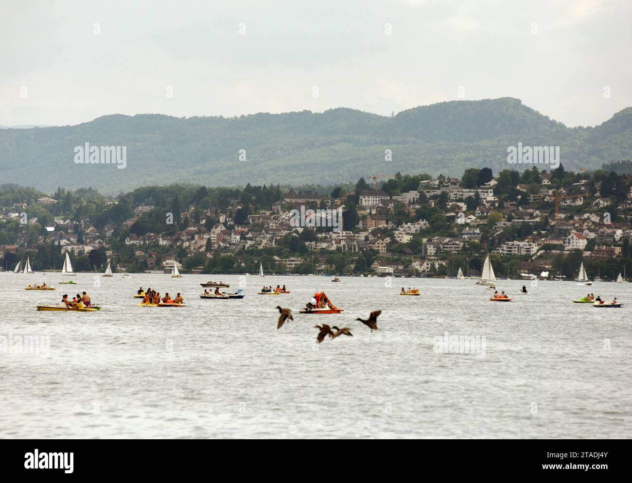 Zurich, Switzerland - June 03, 2017: Catamarans and boats on Zurich ... Zurich, Switzerland - June 03, 2017: Catamarans and boats on Zurich ...