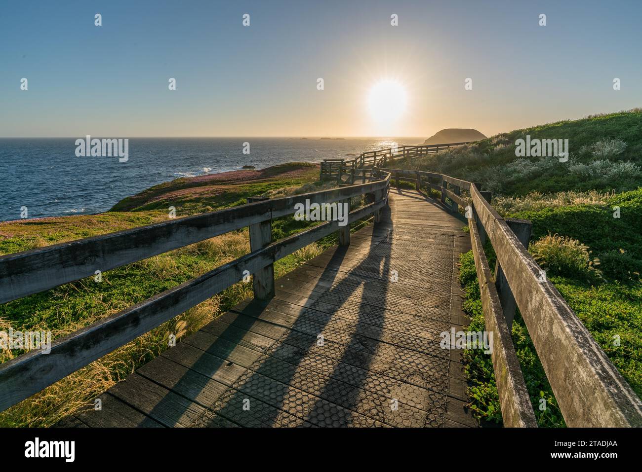 Coastal path Australia Stock Photo - Alamy
