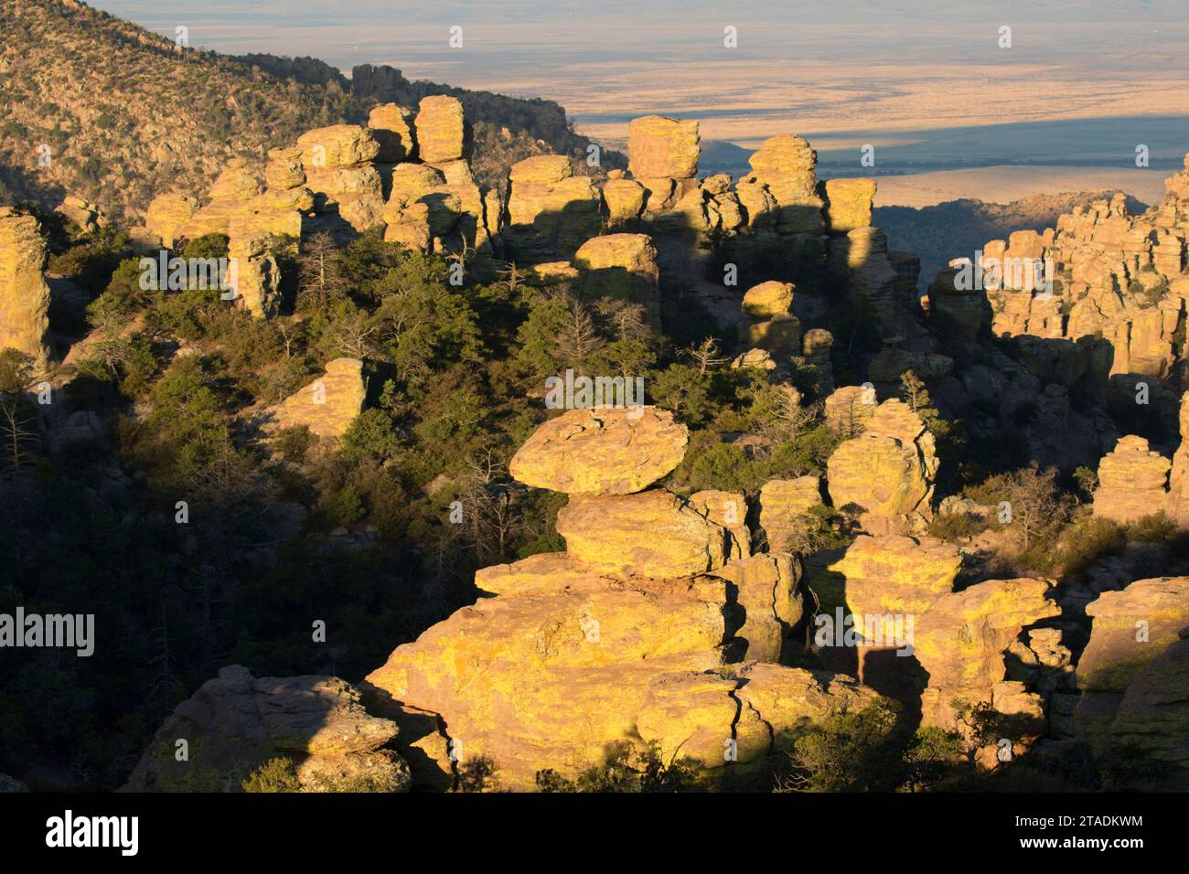 Rock pinnacles from Massai Point Nature Trail, Chiricahua National ...