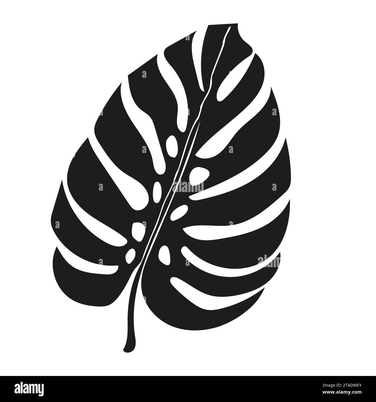 Monstera tropical leaves, greenery design element Monstera leaves, jungle plant. Silhouette of ...