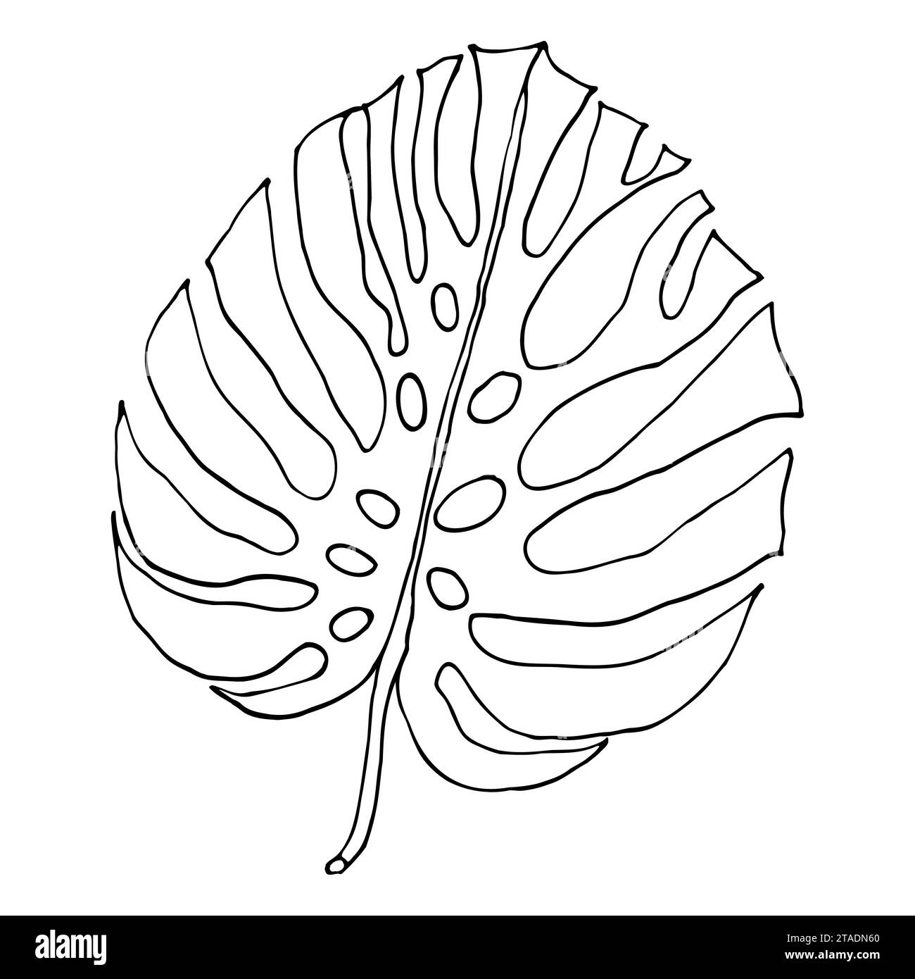 Palm Tree Line Drawing Cut Out Stock Images And Pictures Alamy