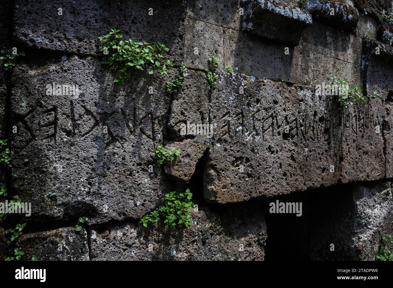 Inscription in Old Italic, the Etruscan language and script, cut into ...