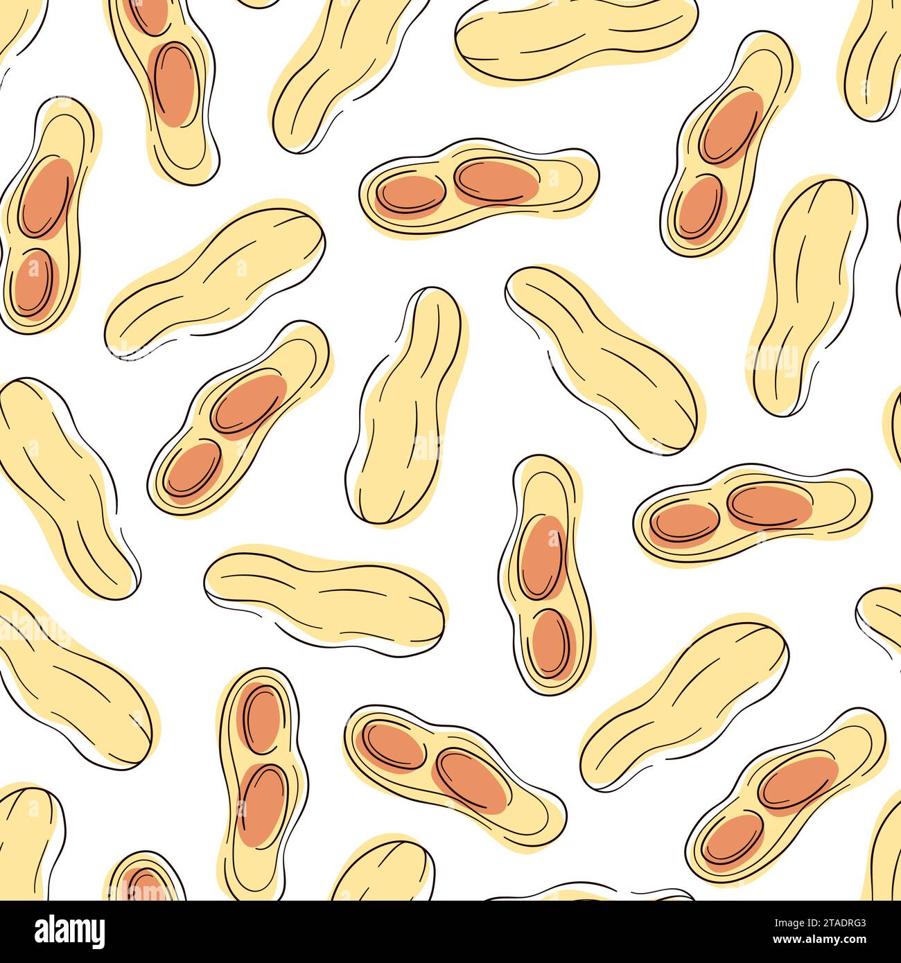 Peanut line art style seamless pattern. Peanuts hand drawn illustration ...