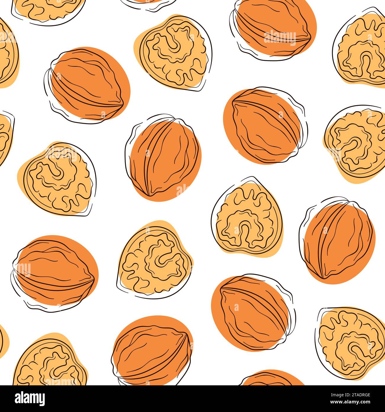Seamless pattern of line art walnuts on white background. Design for ...