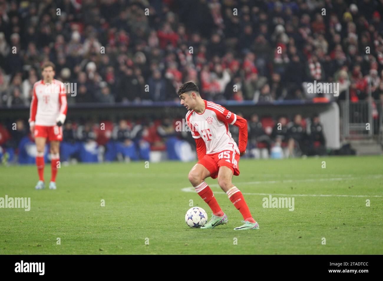 45 aleksandar pavlovic hi-res stock photography and images - Alamy