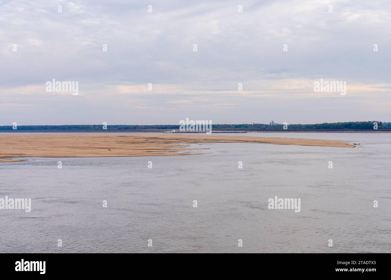 Panorama of sand banks due to extreme low water conditions on ...