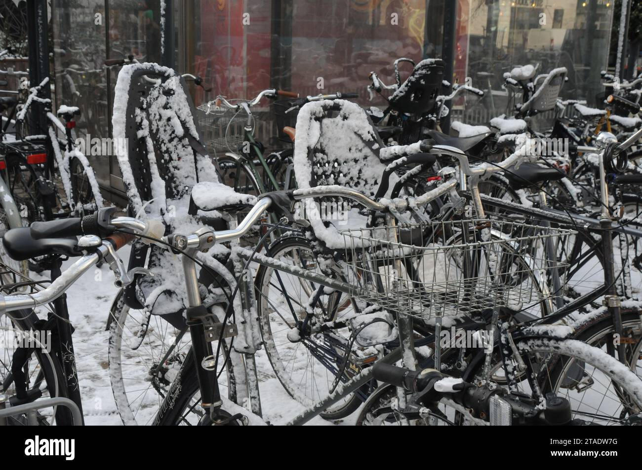 Cold wqinter hi-res stock photography and images - Alamy