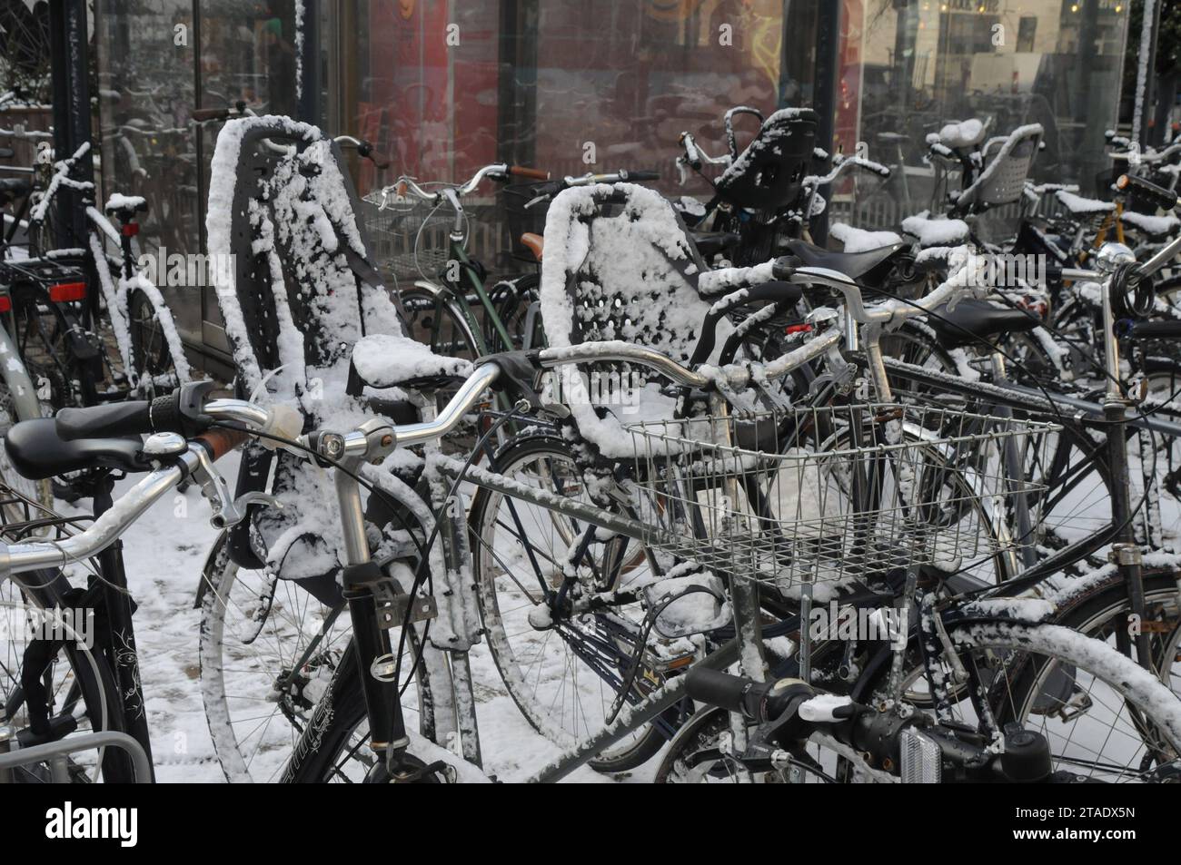 Cold wqinter hi-res stock photography and images - Alamy