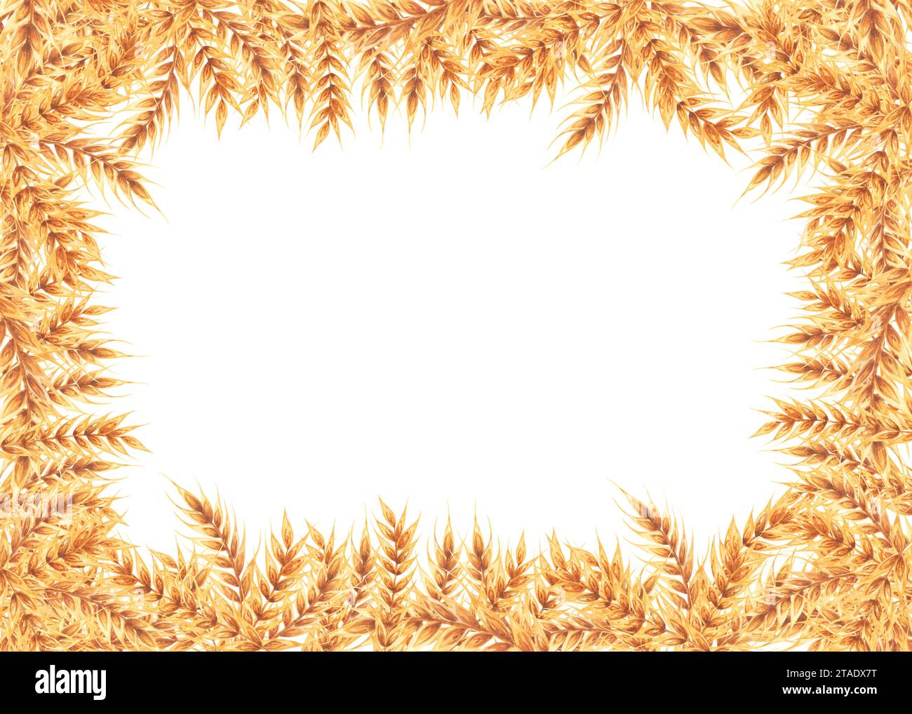 Wheat rectangle field. Frame with ears of wheat. Watercolor ...