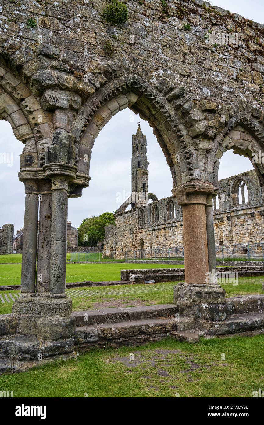 View through arch to Nave and West Gable of the ruins of St Andrews ...