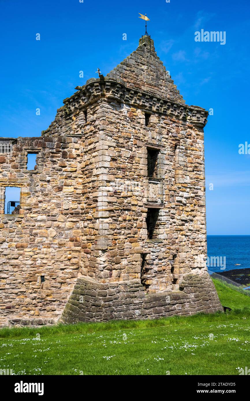 Ruins of St Andrews Castle in the Royal Burgh of St Andrews in Fife ...