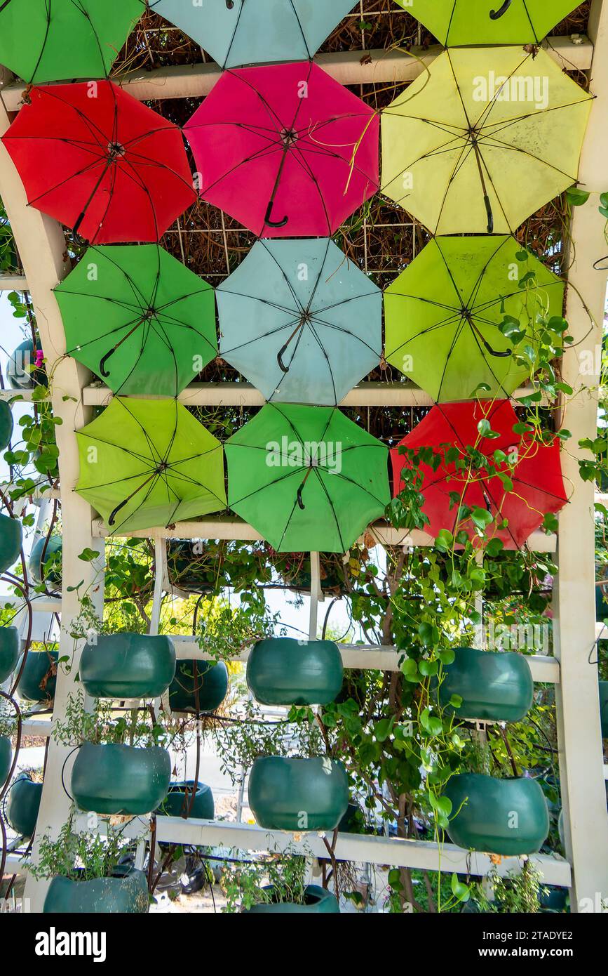 Doha, Qatar, October 31, 2023. Green tunnel and umbrellas for shade at ...