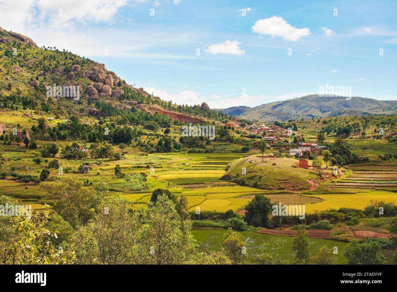 Typical Madagascar landscape in region near Tsiafahy, small hills ...