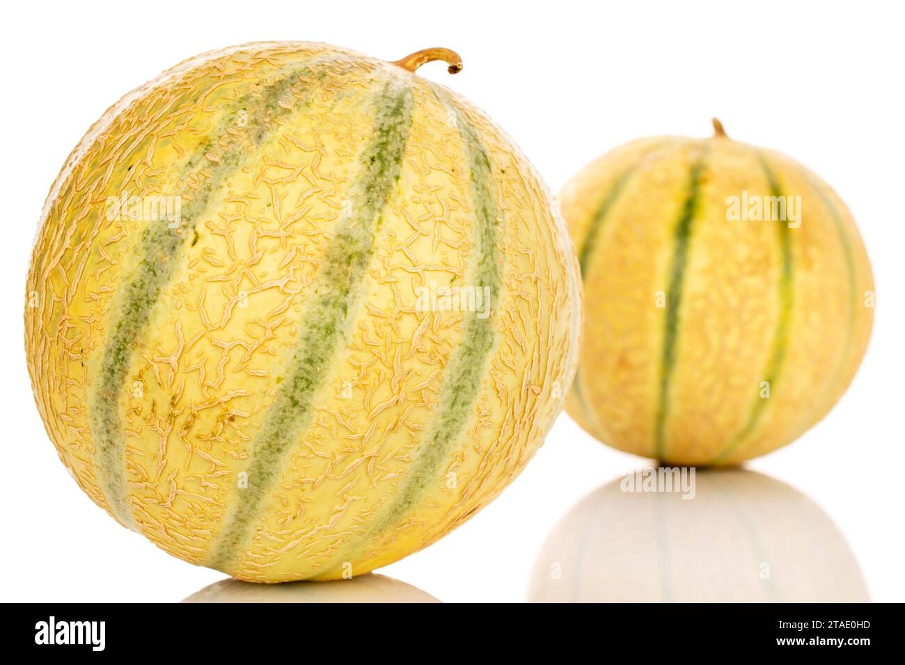Two whole ripe melons, close-up, isolated on white Stock Photo - Alamy