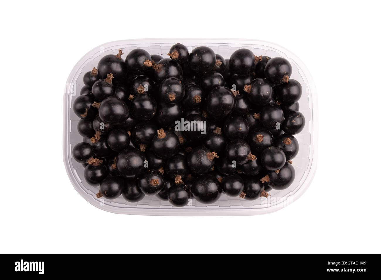 black currant berries in plastic box isolated on white background ...