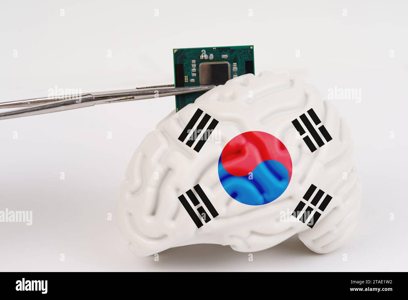 On a white background, a model of the brain with a picture of a flag ...
