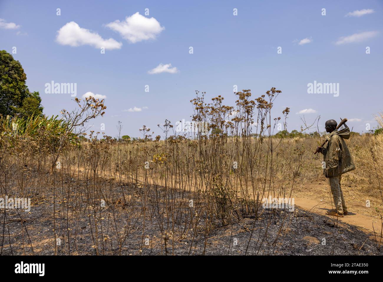 A man crossing hi-res stock photography and images - Alamy