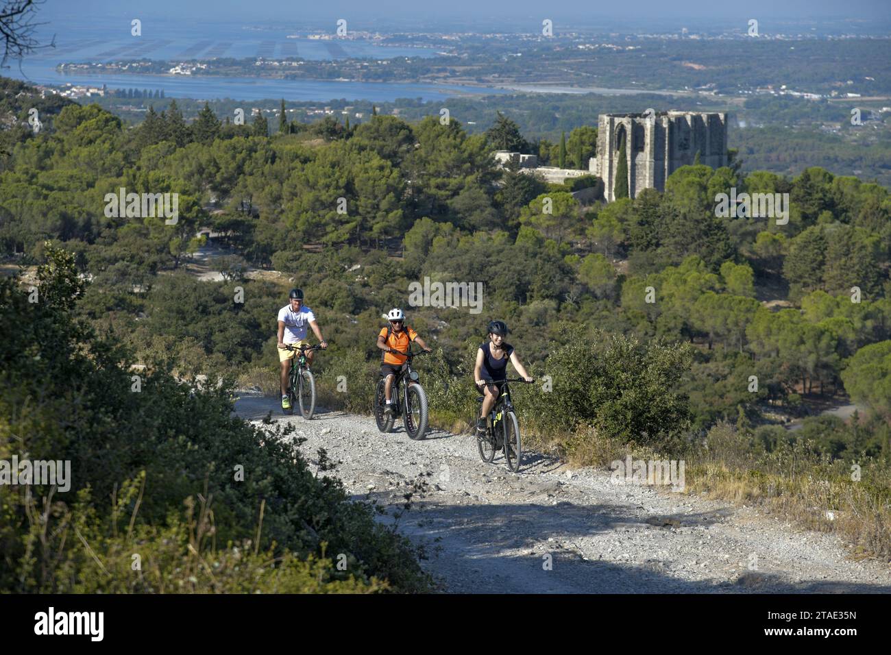 France, Herault, Gigean, La Gardiole massif, mountain bikers on a ...