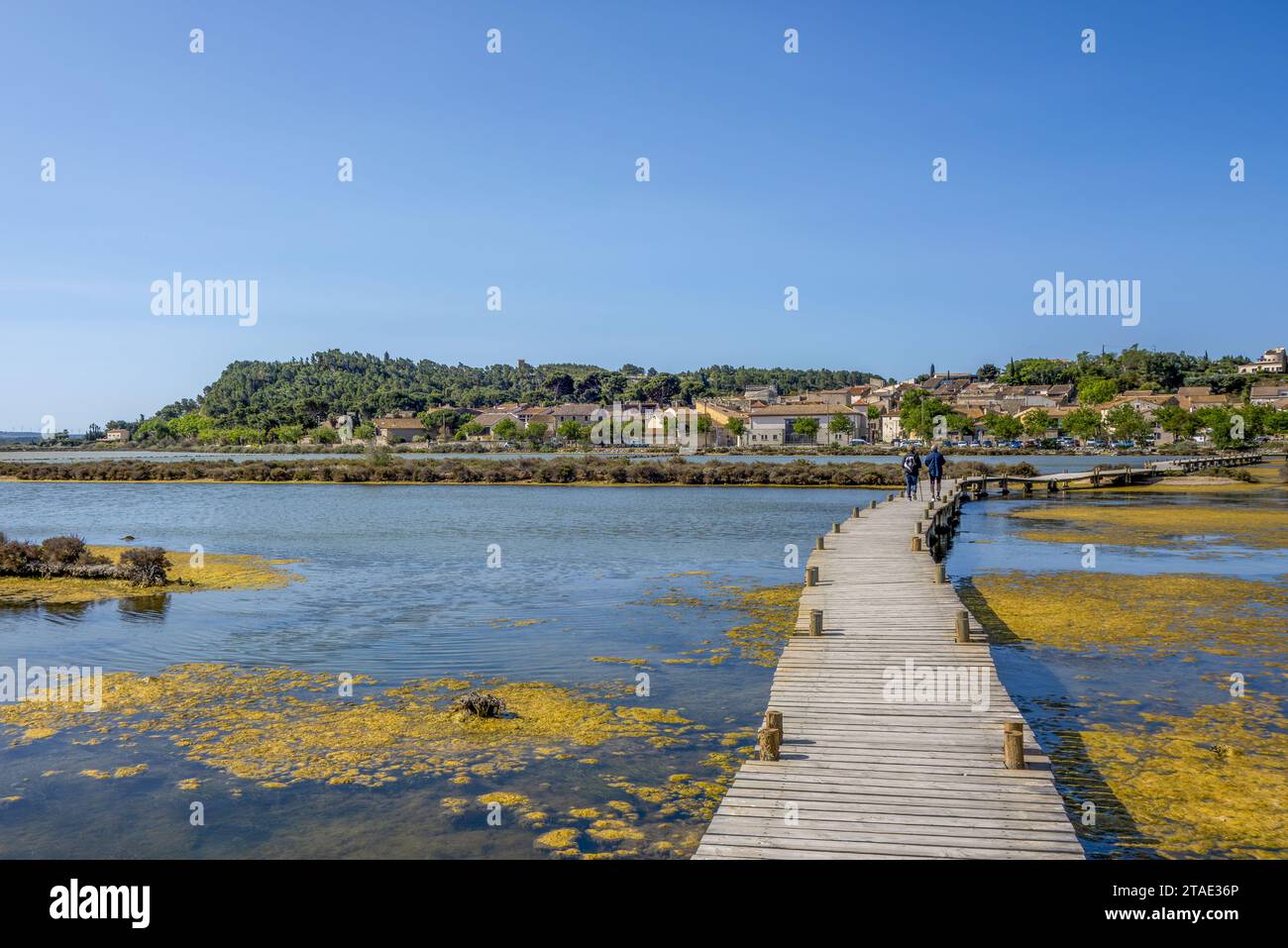 France, Aude, Peyriac-de-Mer, walkers walking on a pontoon Stock Photo ...