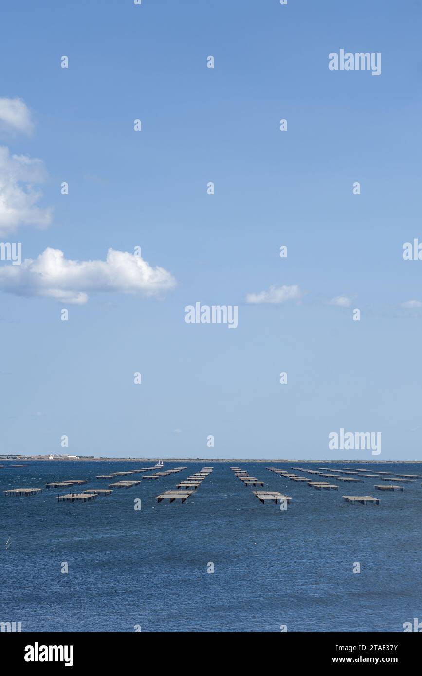 France, Herault, Marseillan, lagoon of Thau, place called Bellevue ...