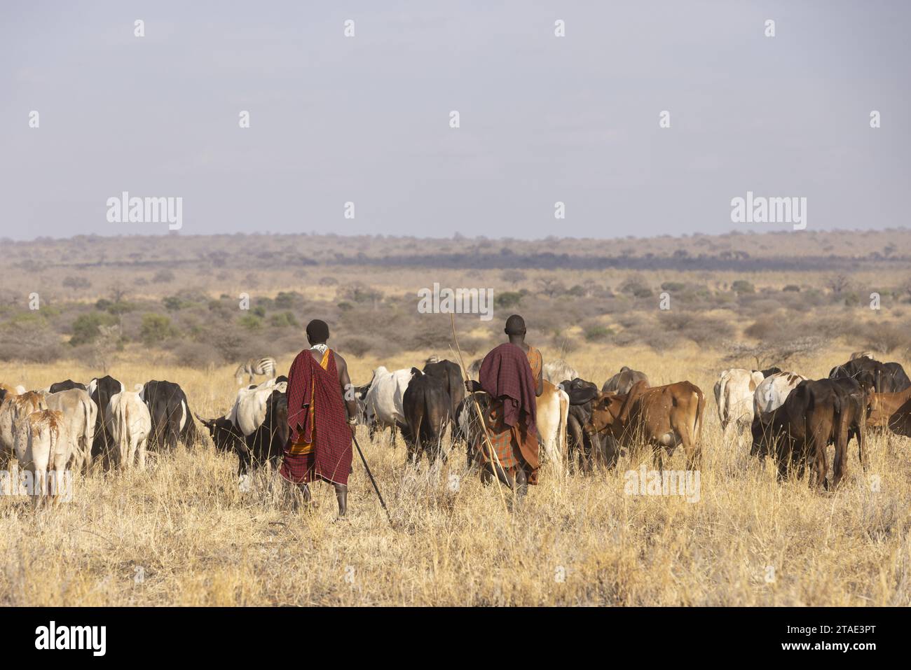 Region2 hi-res stock photography and images - Alamy