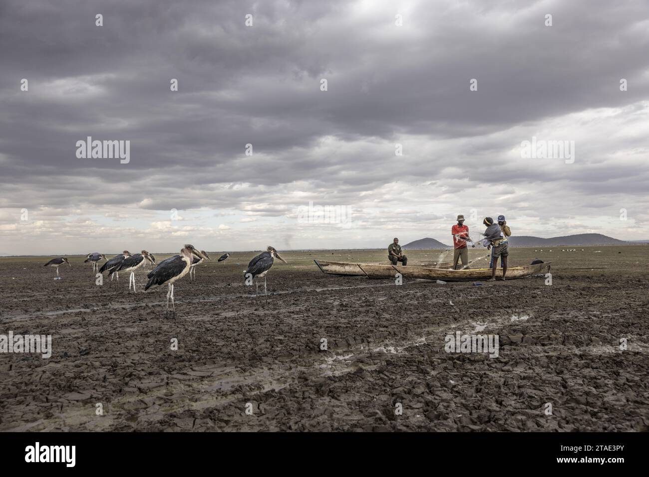 Tanzania, Manyara region, Lake Manyara In the dry season, the nets are ...