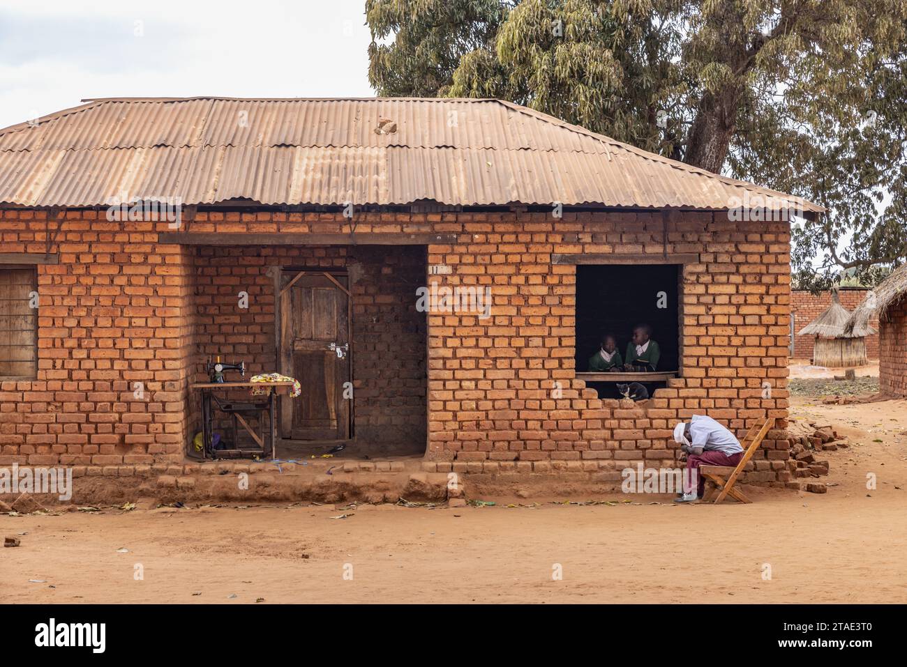 We mbunga hi-res stock photography and images - Alamy