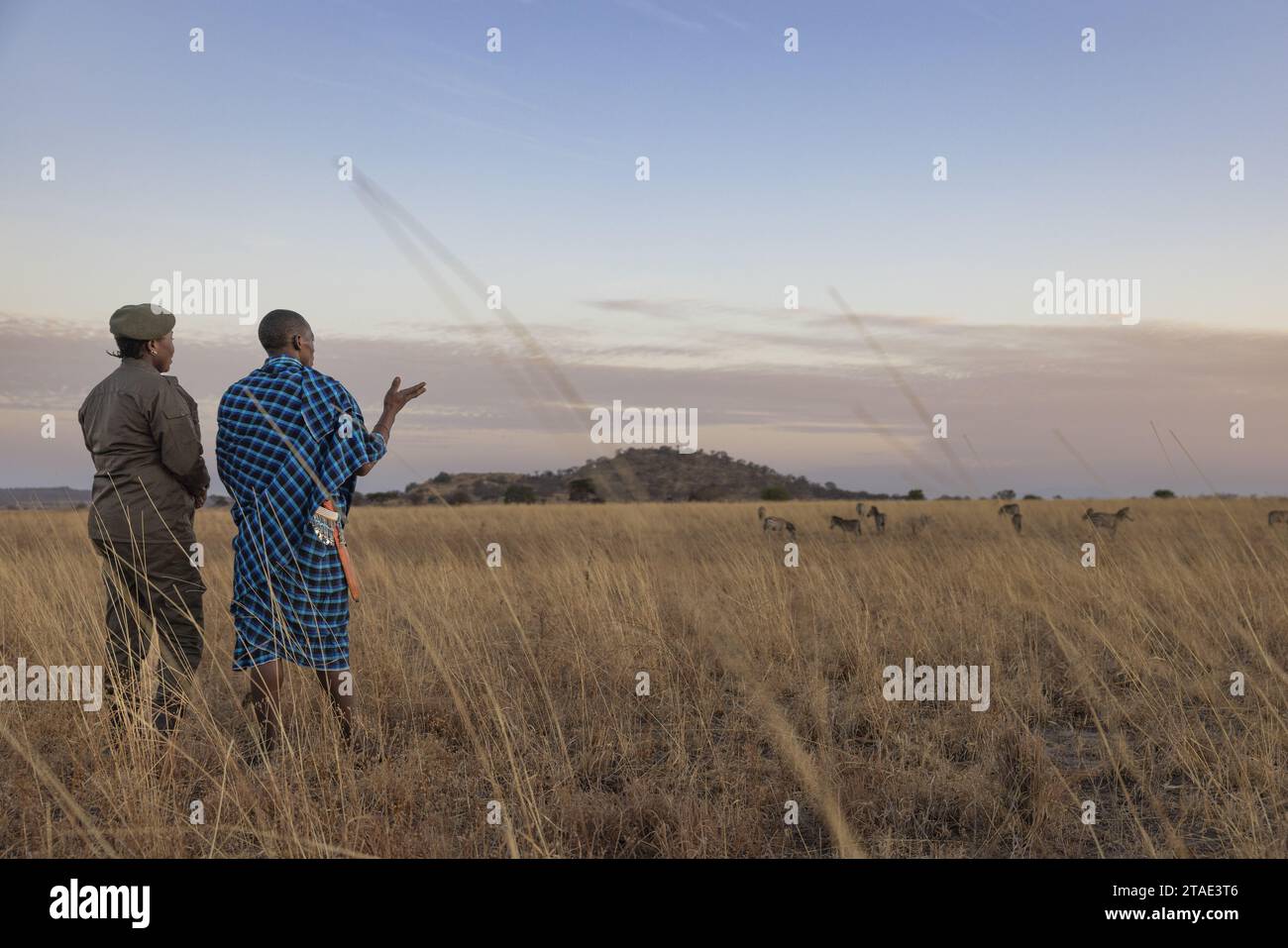 Tanzania, WMA (wildlife management area) of Randilen, Monduli district ...