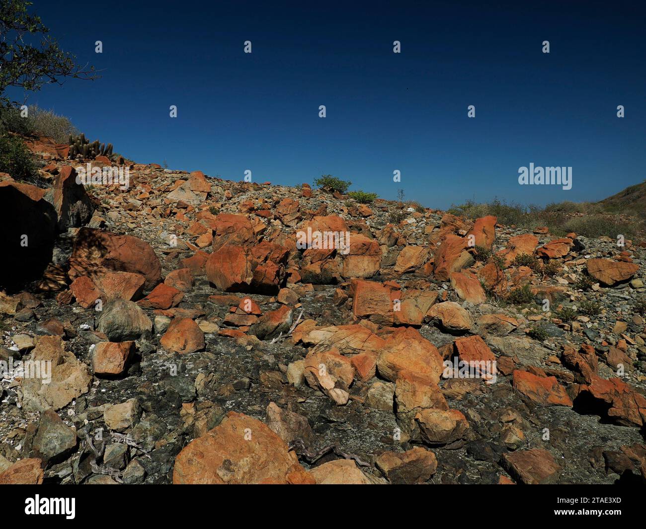 Volcanic rocks in Magdalena bay Isla Santa Margarita baja california ...
