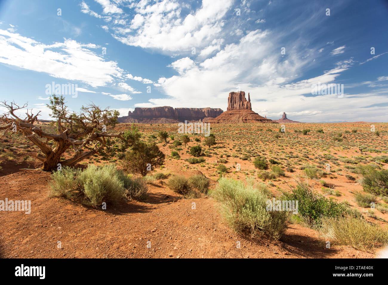 United States, Utah, Navajo Indian Reservation, Monument Valley Stock ...