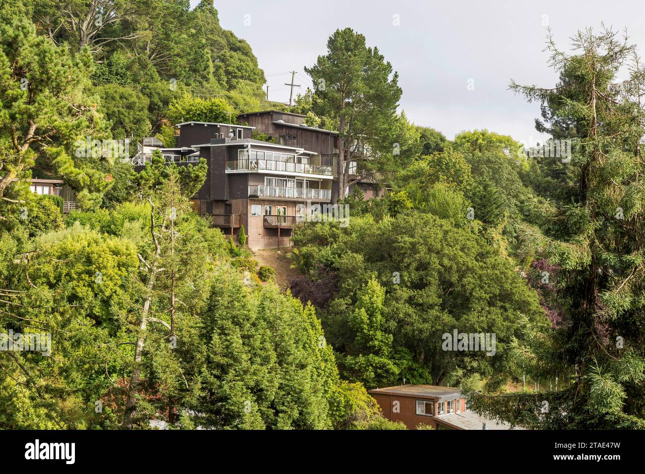 United States, California, Berkeley? Panoramic Hill Stock Photo - Alamy