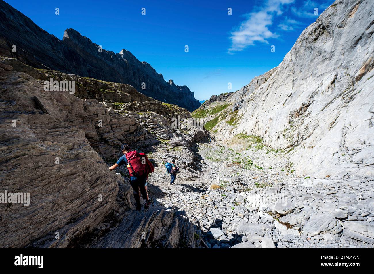 France, Haute-Savoie (74), Massif du Chablais, Montagnes du Giffre ...